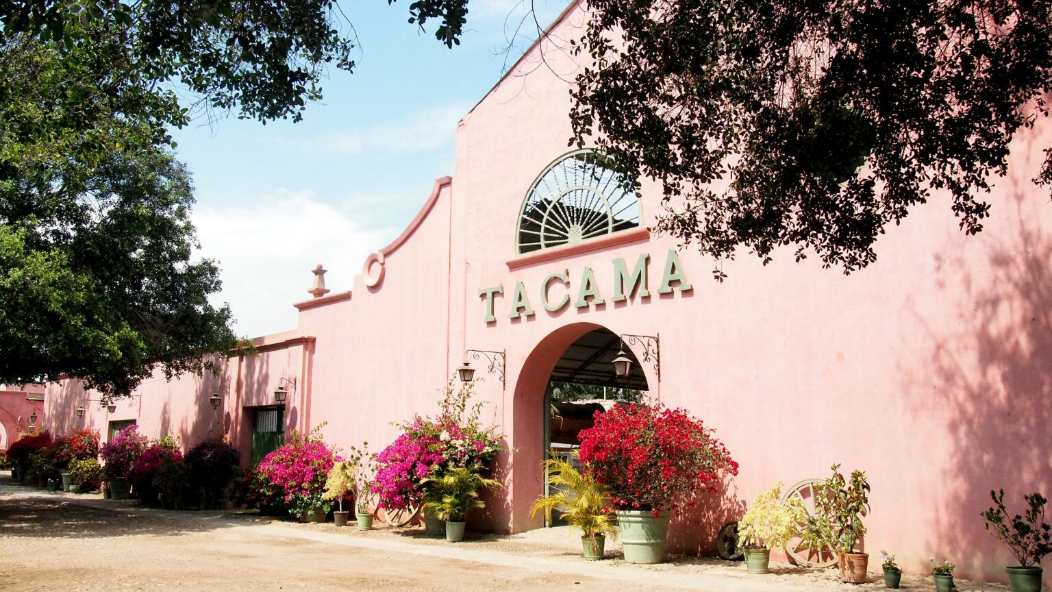Discover the tourist attractions of Ica: beaches, wineries, oasis and more